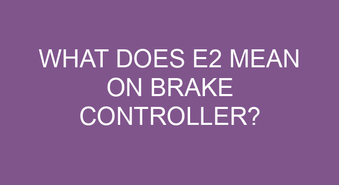 What Does E2 Mean On Brake Controller what-does-e2-mean-on-brake-controller
