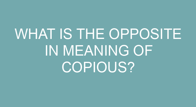 What Is The Opposite In Meaning Of Copious what-is-the-opposite-in-meaning-of-copious