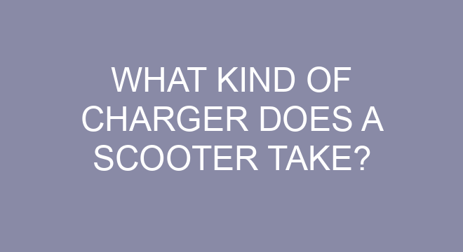 What Kind Of Charger Does A Scooter Take what-kind-of-charger-does-a-scooter-take